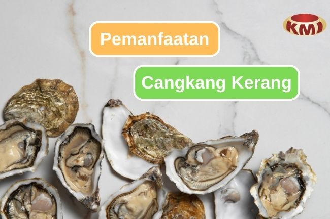 8 Potensi Pemanfaatan Cangkang Kerang